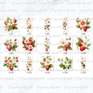 Strawberry Fruit Blossom Clipart, Strawberries Floral Clipart, Berry ...