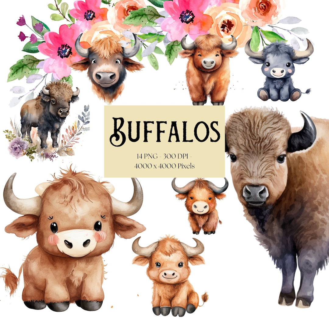Buffalo Clipart, Cute Baby Buffalo Watercolor Clipart, Farm Animal ...