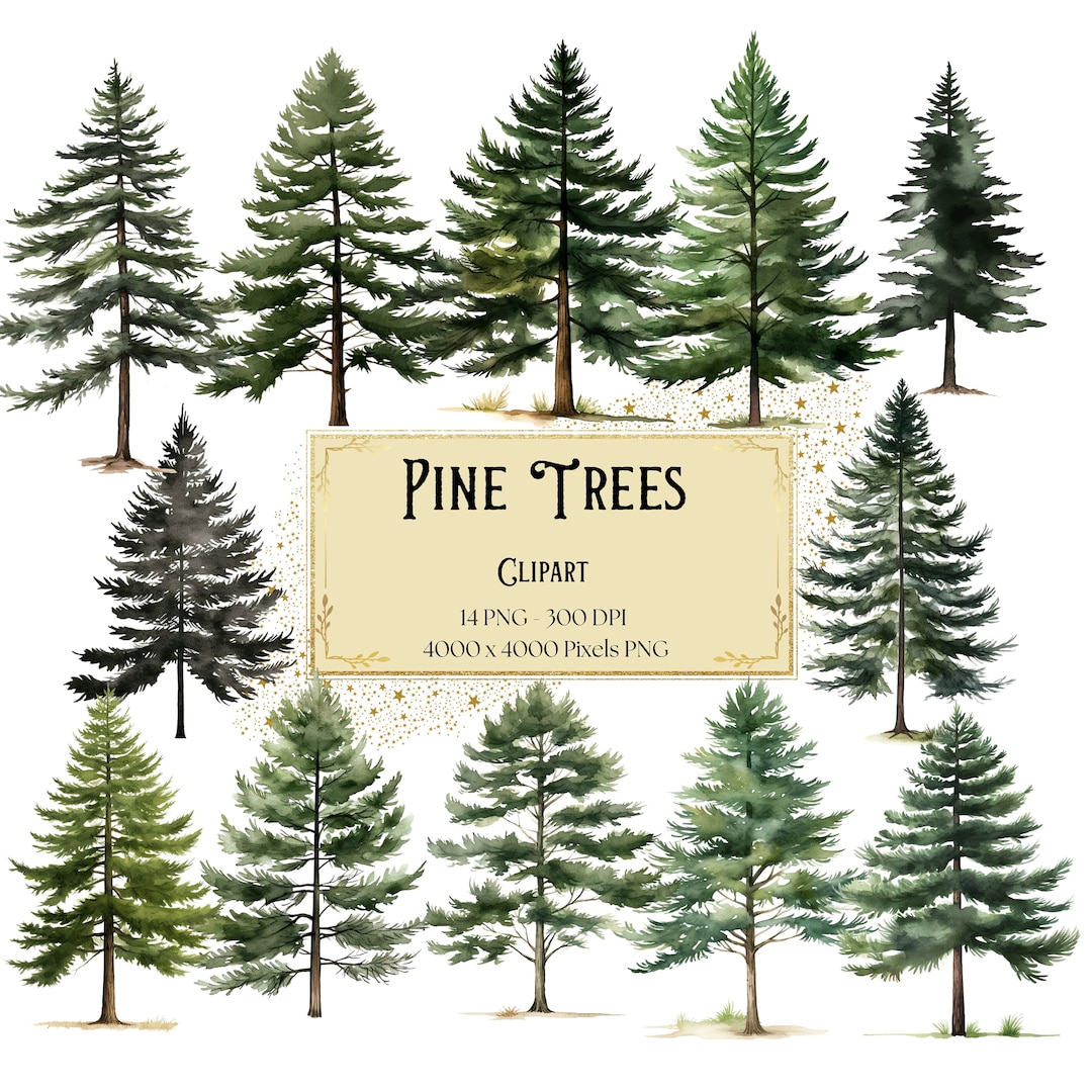 Pine Tree Clipart, Woodland Forest Trees Clipart, Pine Trees PNG ...