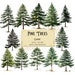 Pine Tree Clipart, Woodland Forest Trees Clipart, Pine Trees PNG ...