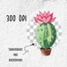 Cactus Clipart Cute Cactus Succulent Watercolor Clipart - Etsy