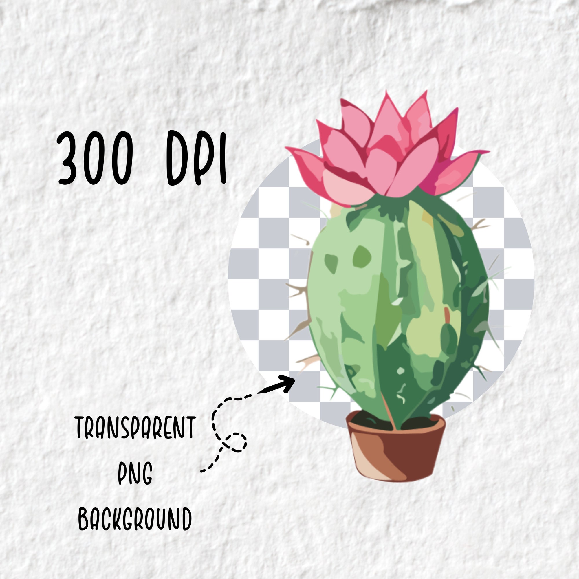 Cactus Clipart Cute Cactus Succulent Watercolor Clipart - Etsy