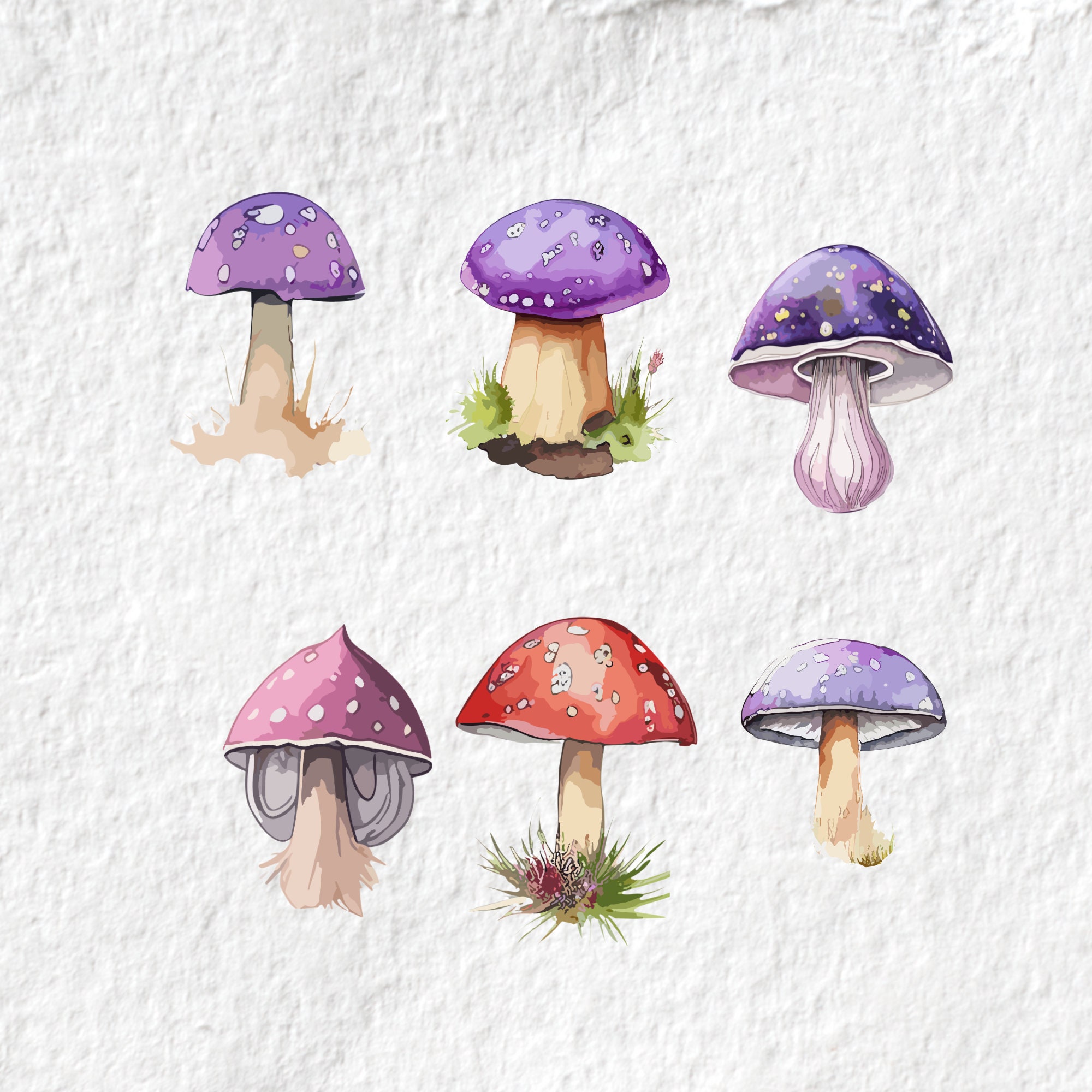 Mushroom Toadstool Forest Clipart Cute Forest Nature Fungi - Etsy