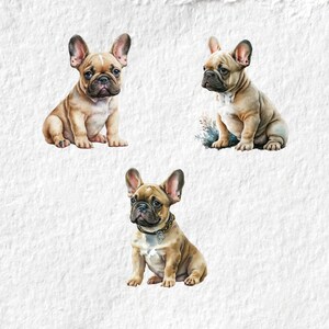 French Bulldog Watercolor Clipart, Cute Dog Nursery Baby Shower ...