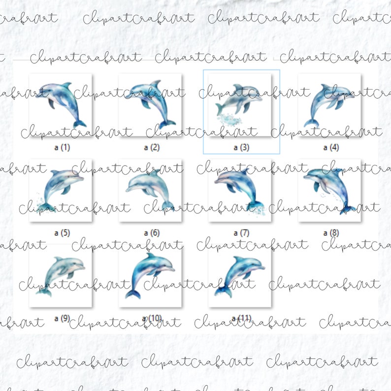 Dolphin Clipart, Dolphin Graphics Sea Life PNG, Underwater Ocean Life ...
