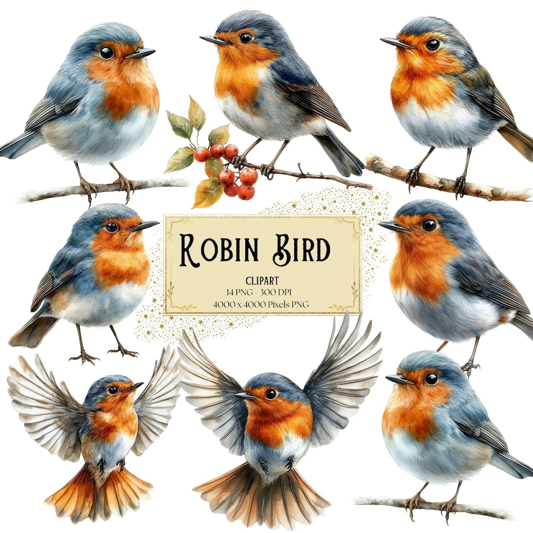 Robin Bird Clipart, Flying Robin Bird Clipart, Birthday Baby Shower ...