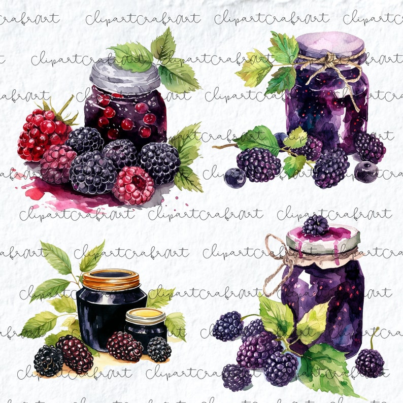 Clipart de pote de geleia de amora em aquarela, imagens de frutas (PNG ...