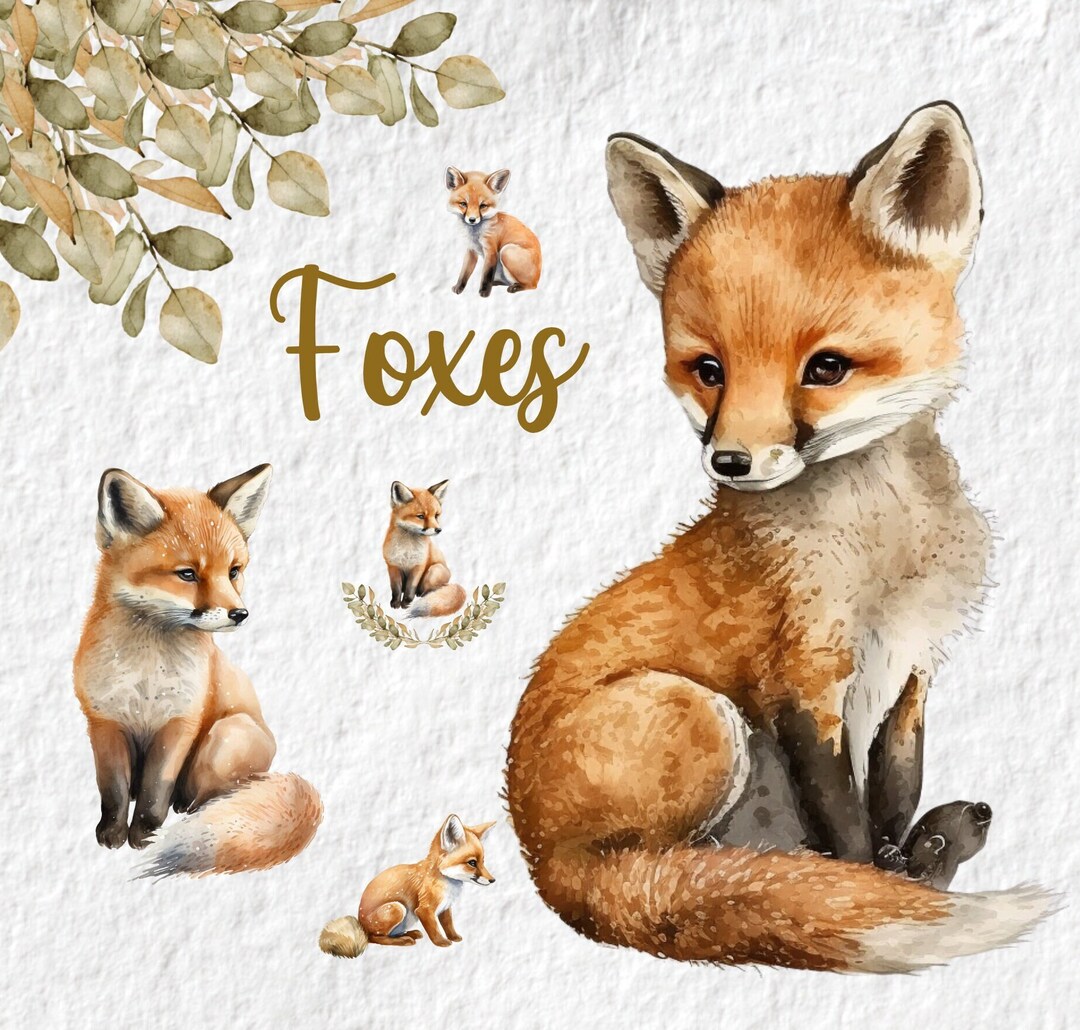 Fox Watercolor Clipart, Cute Baby Shower Graphics, Birthday Party ...