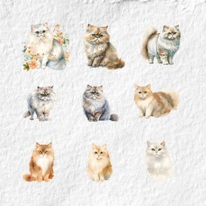 Persian Cat Watercolor Clipart, Cute Persian Cat Nursery Baby Shower ...