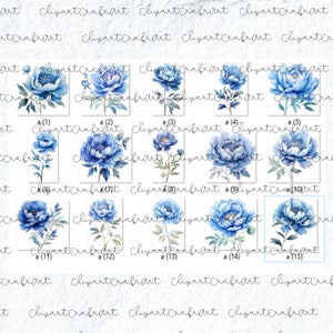Blue Peony Flower Png Clipart, Spring Blue Peony Floral Clipart, Blue ...