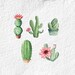 Cactus Clipart Cute Cactus Succulent Watercolor Clipart - Etsy