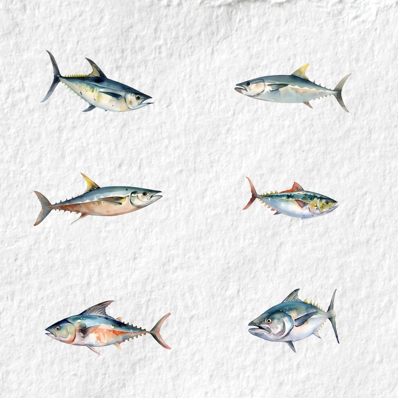 Tuna Fish Watercolor Clipart, Baby Shower Nursery Art (PNG) - Etsy