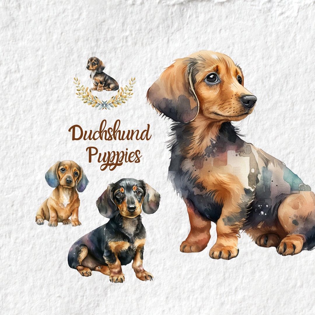 Dachshund Watercolor Clipart, Cute Dog Nursery Baby Shower Birthday ...