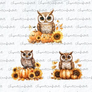 Owl Pumpkin Sunflower Halloween Clipart, Whimsical Owl Halloween ...