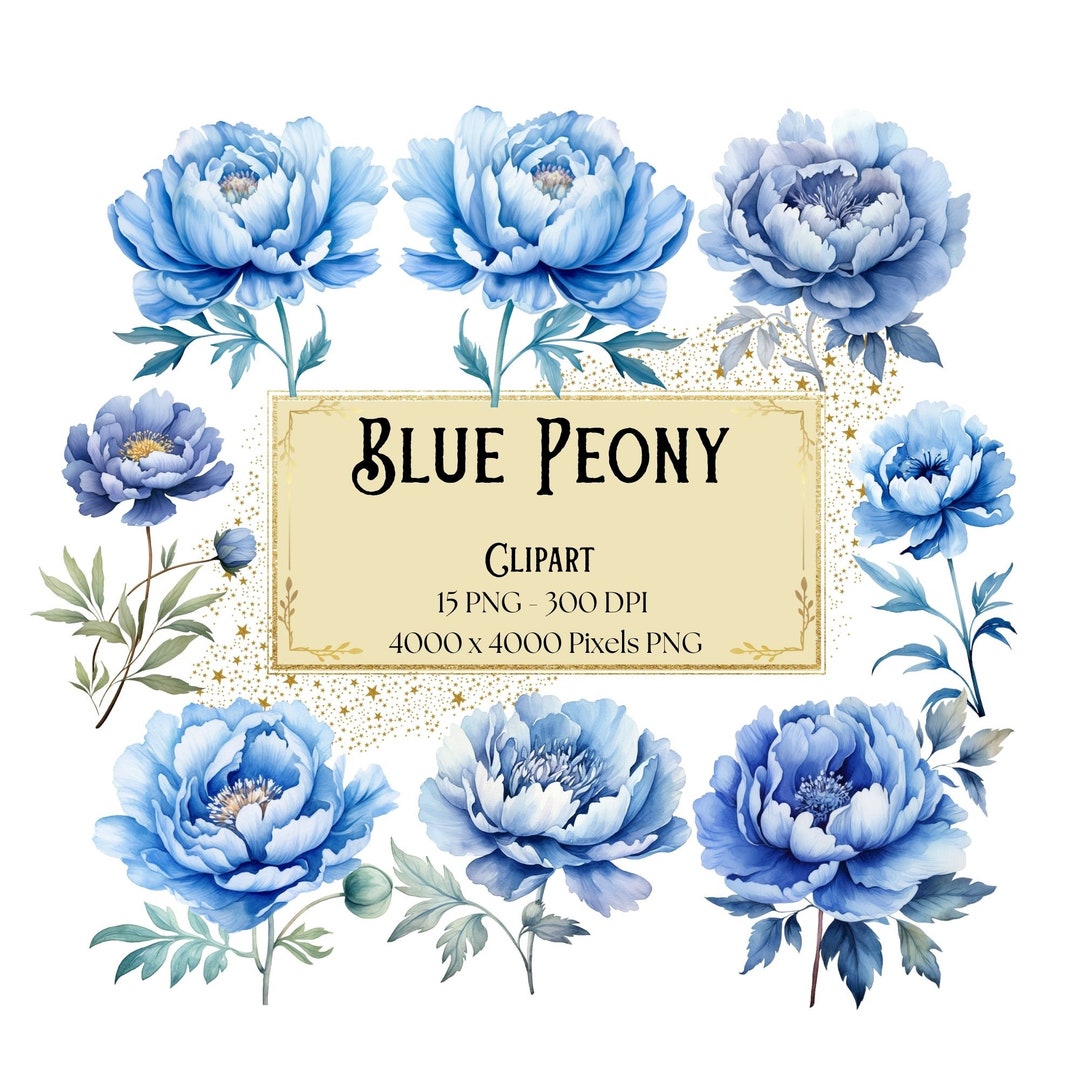 Blue Peony Flower Png Clipart, Spring Blue Peony Floral Clipart, Blue ...