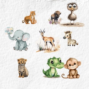 Safari Baby Jungle Animals Clipart, Safari Baby Jungle Woodland Animals ...