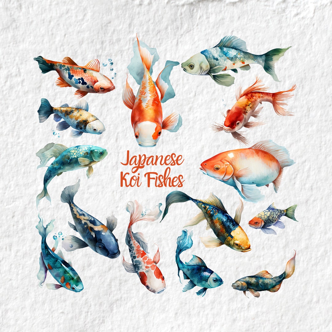 Japanese Koi Fish Watercolor Clipart Cute Koi Baby Shower - Etsy