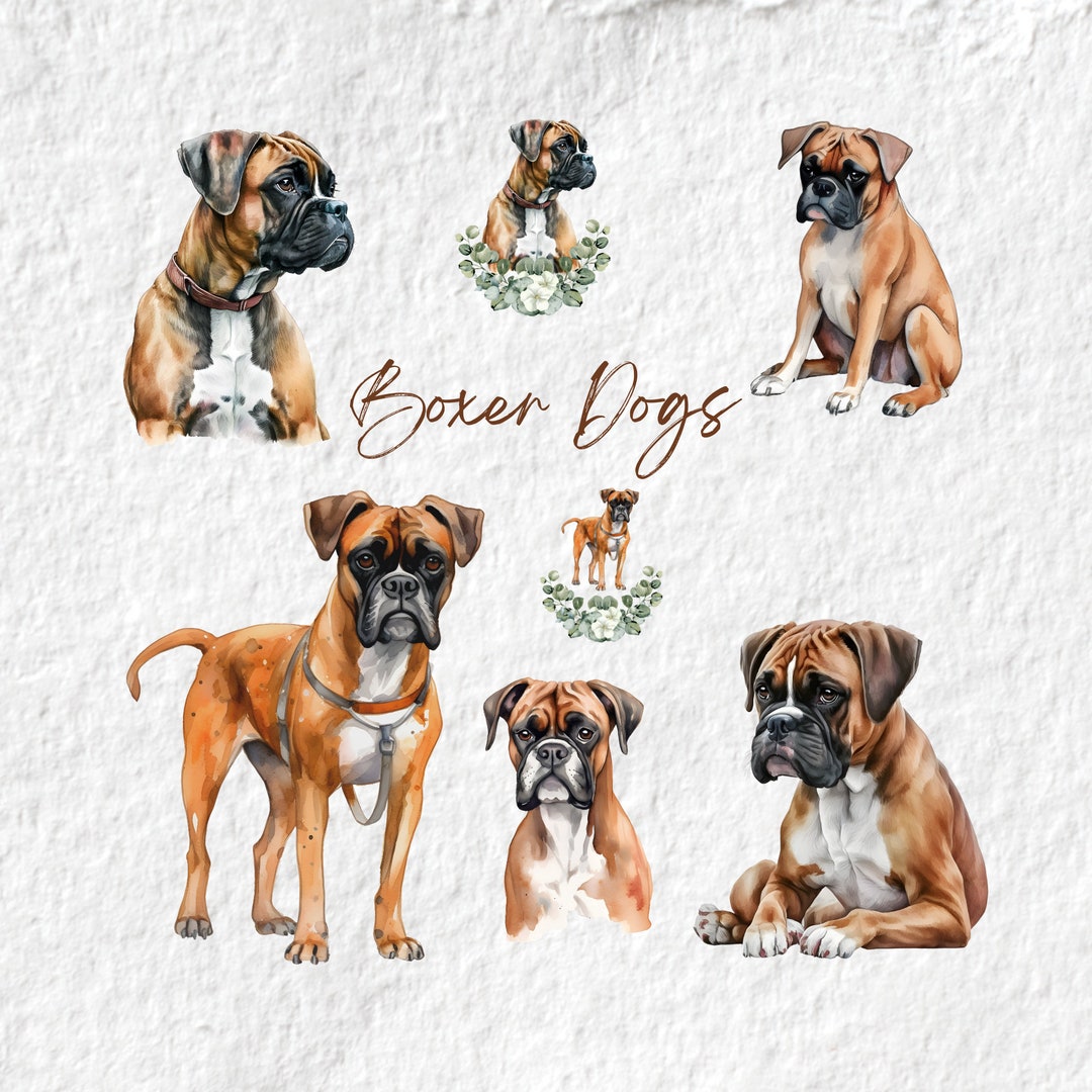 Dog Clipart, Boxer Dog Puppy Clipart, Little Pet Puppy Doggie Animal ...