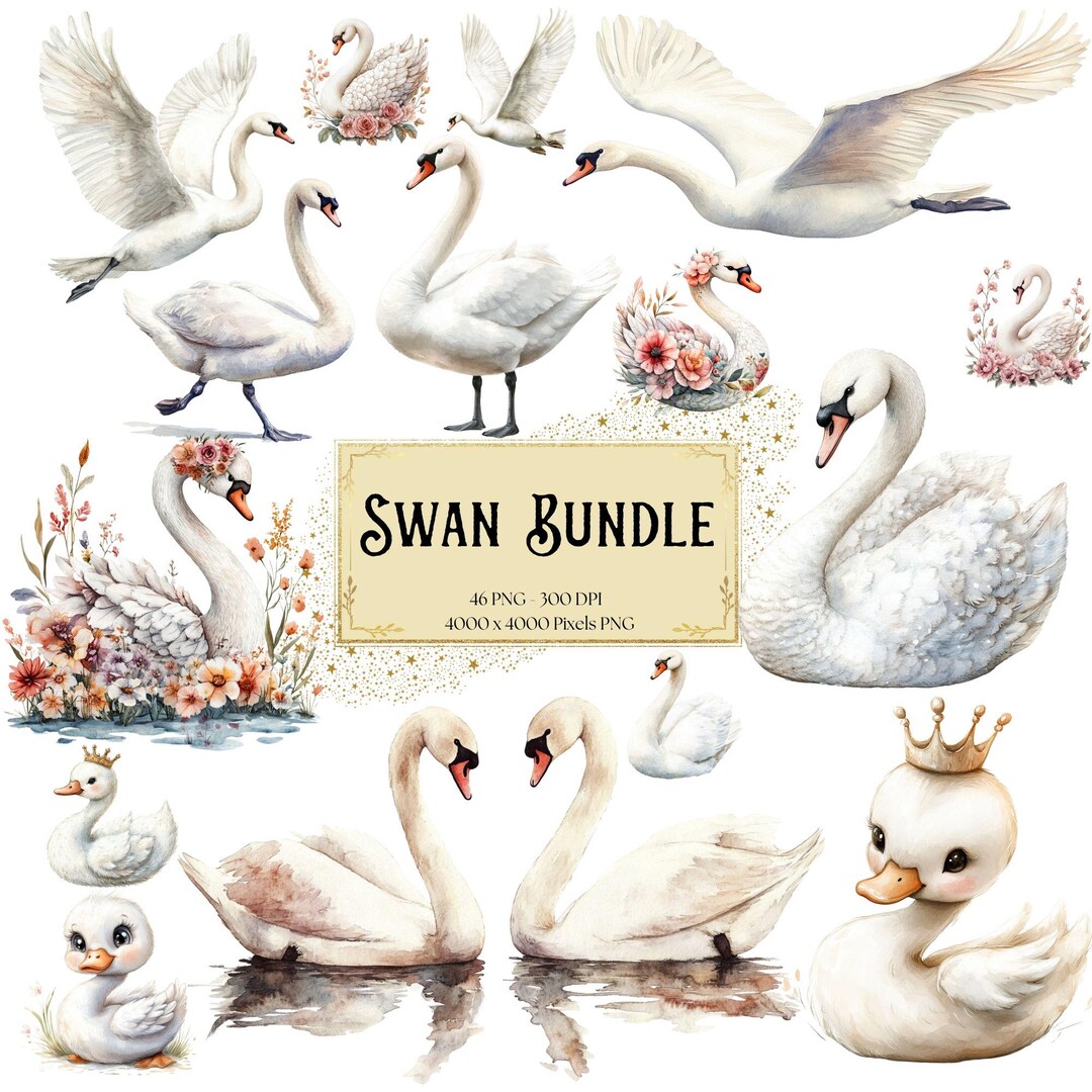 Swan Clipart, Baby Swan Clipart, Floral Swan Clipart, Birthday Baby ...