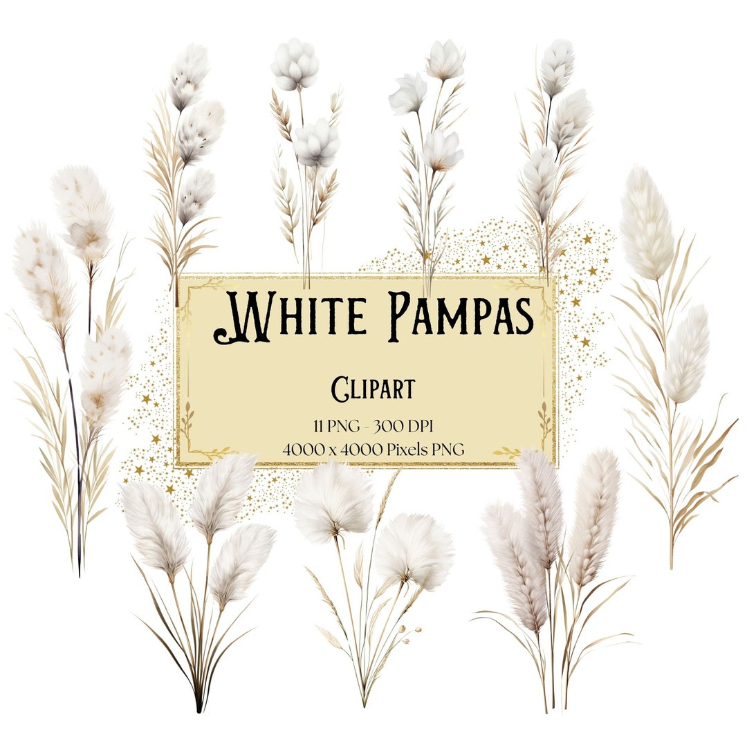 White Pampas Flower Clipart, Autumn Boho Fall White Pampas Flower ...