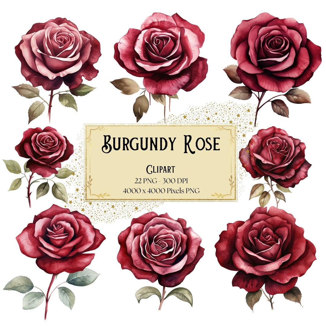 Burgundy Rose Clipart, Burgundy Rose Flowers Clipart, Burgundy Roses ...