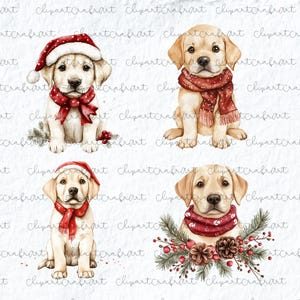Christmas Labrador Retriever Clipart, Labrador Retriever Png, Christmas ...