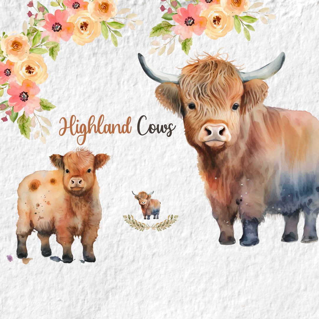 Cute Highland Cow Watercolor Clipart, Cute Baby Shower Graphics ...