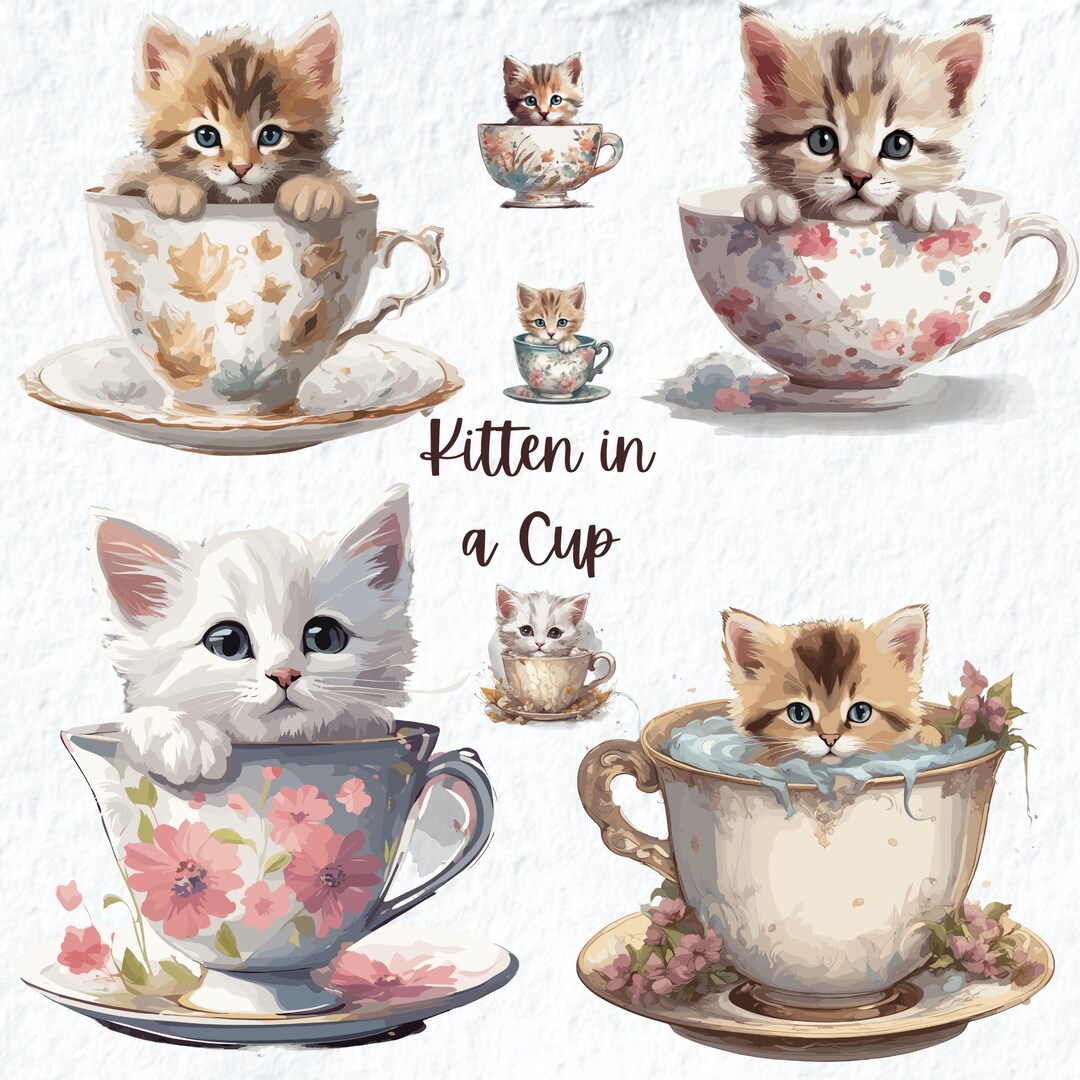 Kittin Floral Cup Clipart, Cute Kitty Floral Clipart PNG, Floral Cat ...