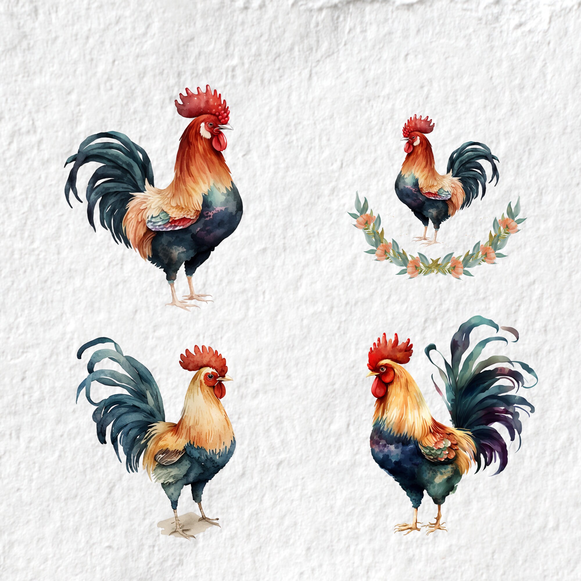 Rooster Clipart Cute Chicken Bird Rooster Baby Shower - Etsy