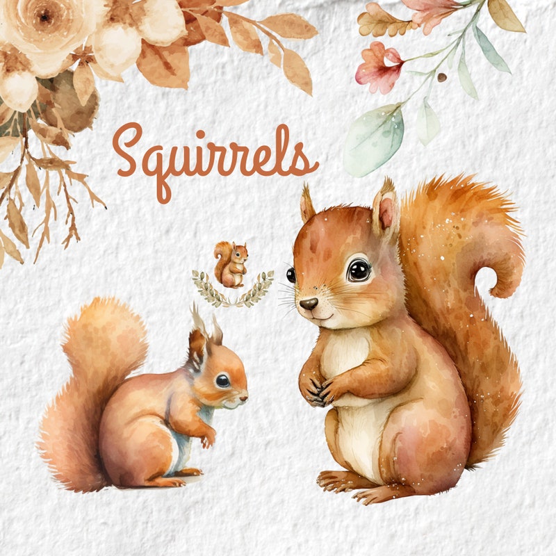 Nursery Squirrel - Etsy