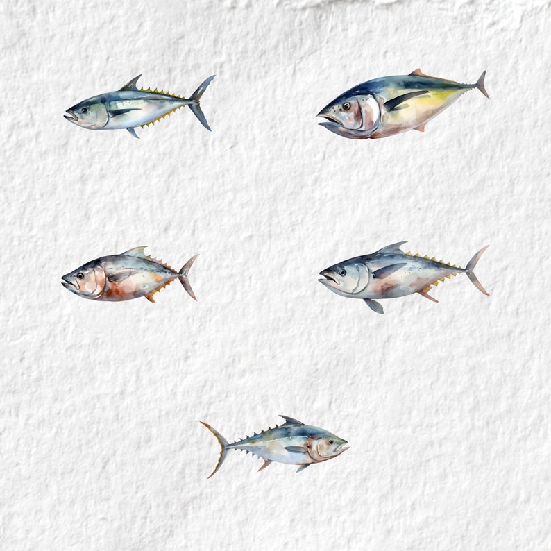 Tuna Fish Watercolor Clipart, Baby Shower Nursery Art (PNG) - Etsy
