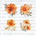 Orange Flower Png Clipart, Spring Orange Floral Clipart, Botanical ...