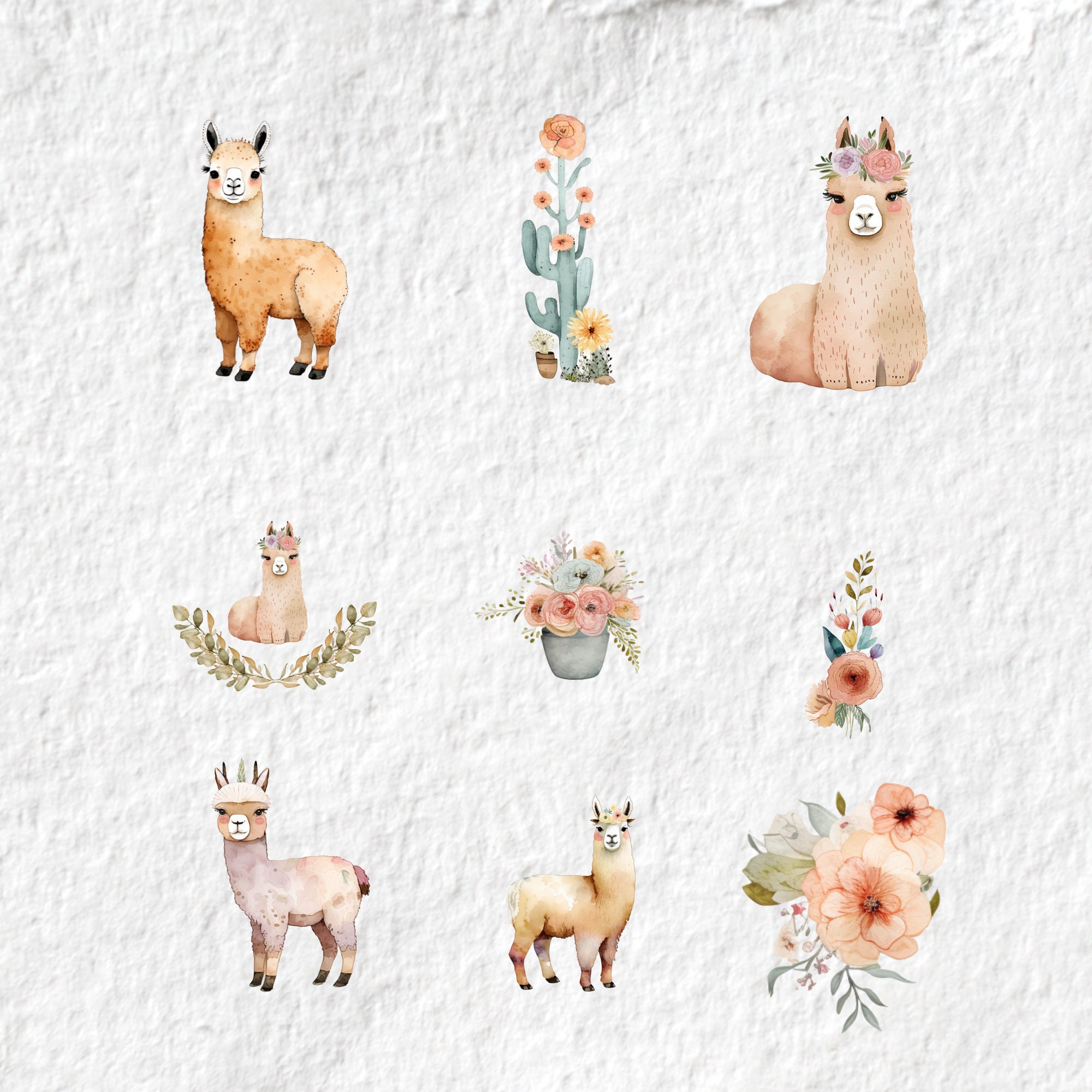 Llama Watercolor Clipart Cute Alpaca Baby Shower Graphics - Etsy