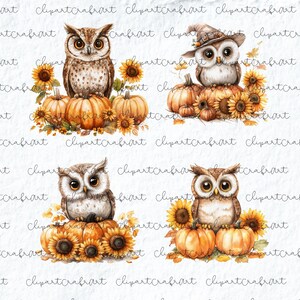 Owl Pumpkin Sunflower Halloween Clipart, Whimsical Owl Halloween ...