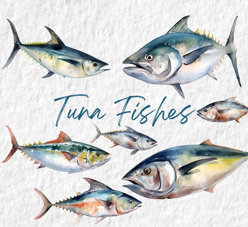 Tuna Fish Watercolor Clipart, Baby Shower Nursery Art (PNG) - Etsy