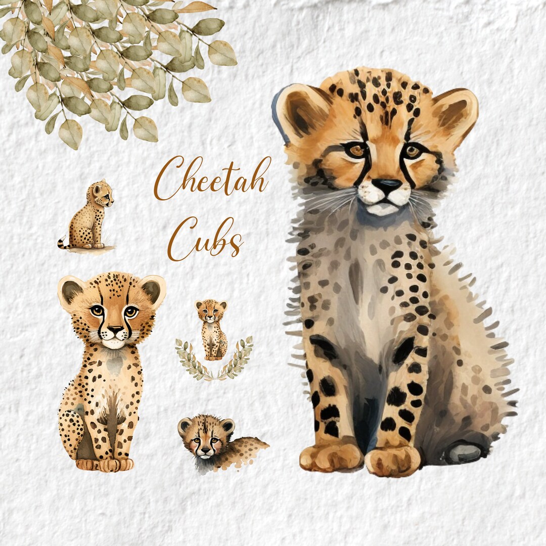 Cheetah Cub Watercolor Clipart, Cute Baby Shower Graphics,big Cat ...