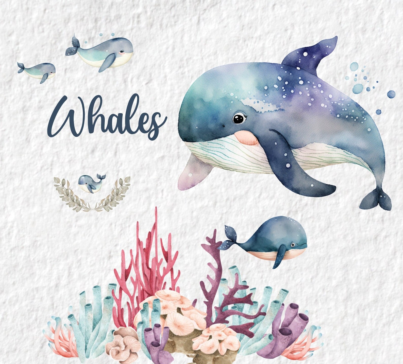 Whale Clipart, Floral Baby Whale Watercolor Clipart, Sea Life ...