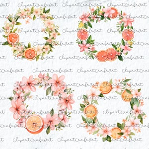 Grapefruit Png Bundle Clipart, Grapefruit Blossom Clipart, Citrus ...