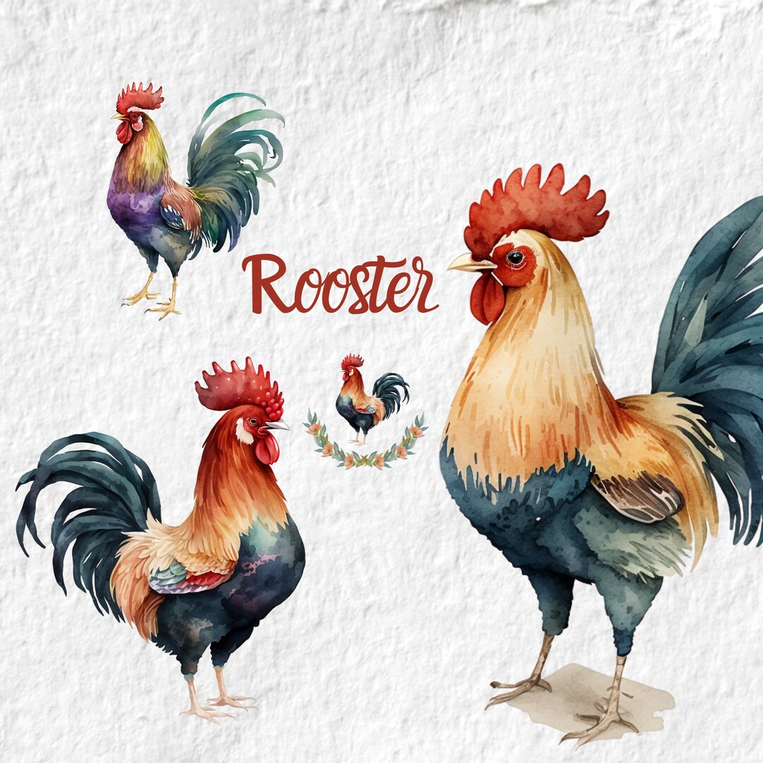 Rooster Clipart, Cute Chicken Bird Rooster Baby Shower Graphics ...