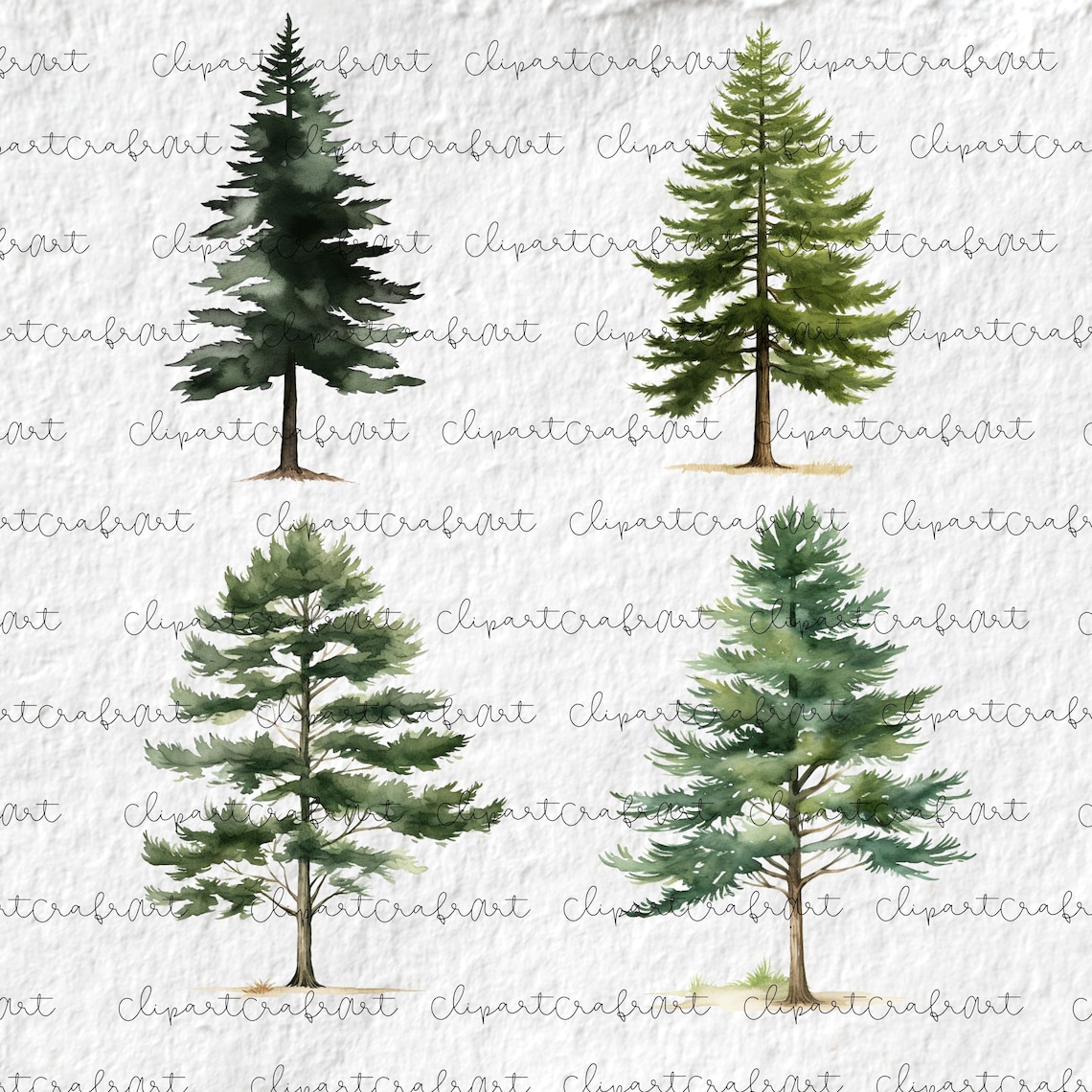 Pine Tree Clipart, Woodland Forest Trees Clipart, Pine Trees PNG ...