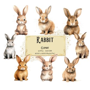 Rabbit Clipart, Rabbit Bunny Watercolor Clipart, Woodland Animals ...