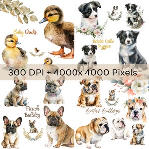 590+ Animals Clipart Mega Bundle Png, Animal Clipart, Dogs, Birds, Cats ...