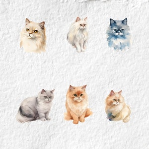 Persian Cat Watercolor Clipart, Cute Persian Cat Nursery Baby Shower ...