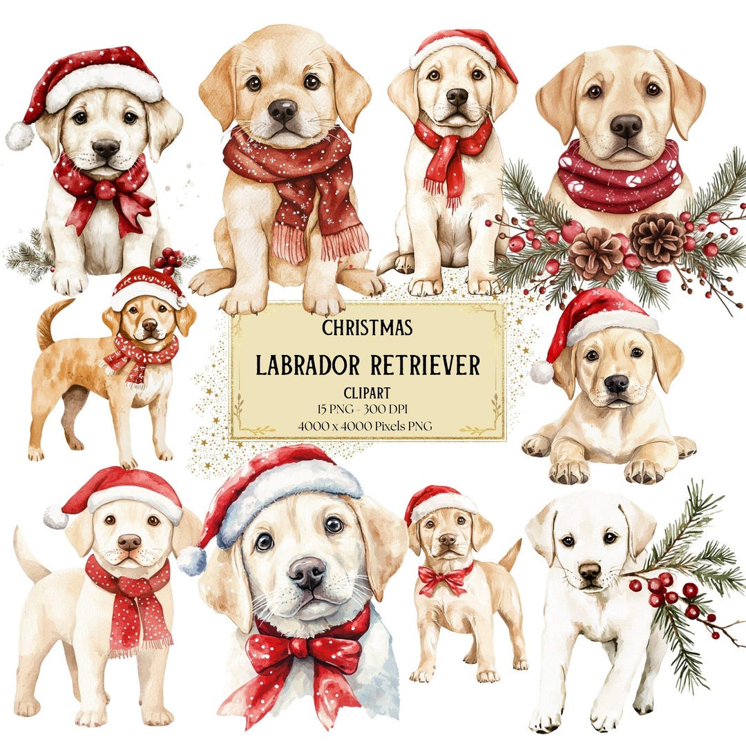 Christmas Labrador Retriever Clipart, Labrador Retriever Png, Christmas ...
