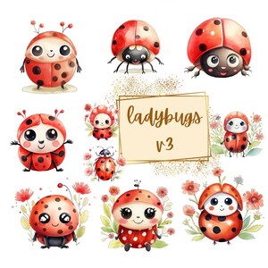 Ladybug Clipart, Floral Red Ladybug Insect Clipart, Baby Shower ...