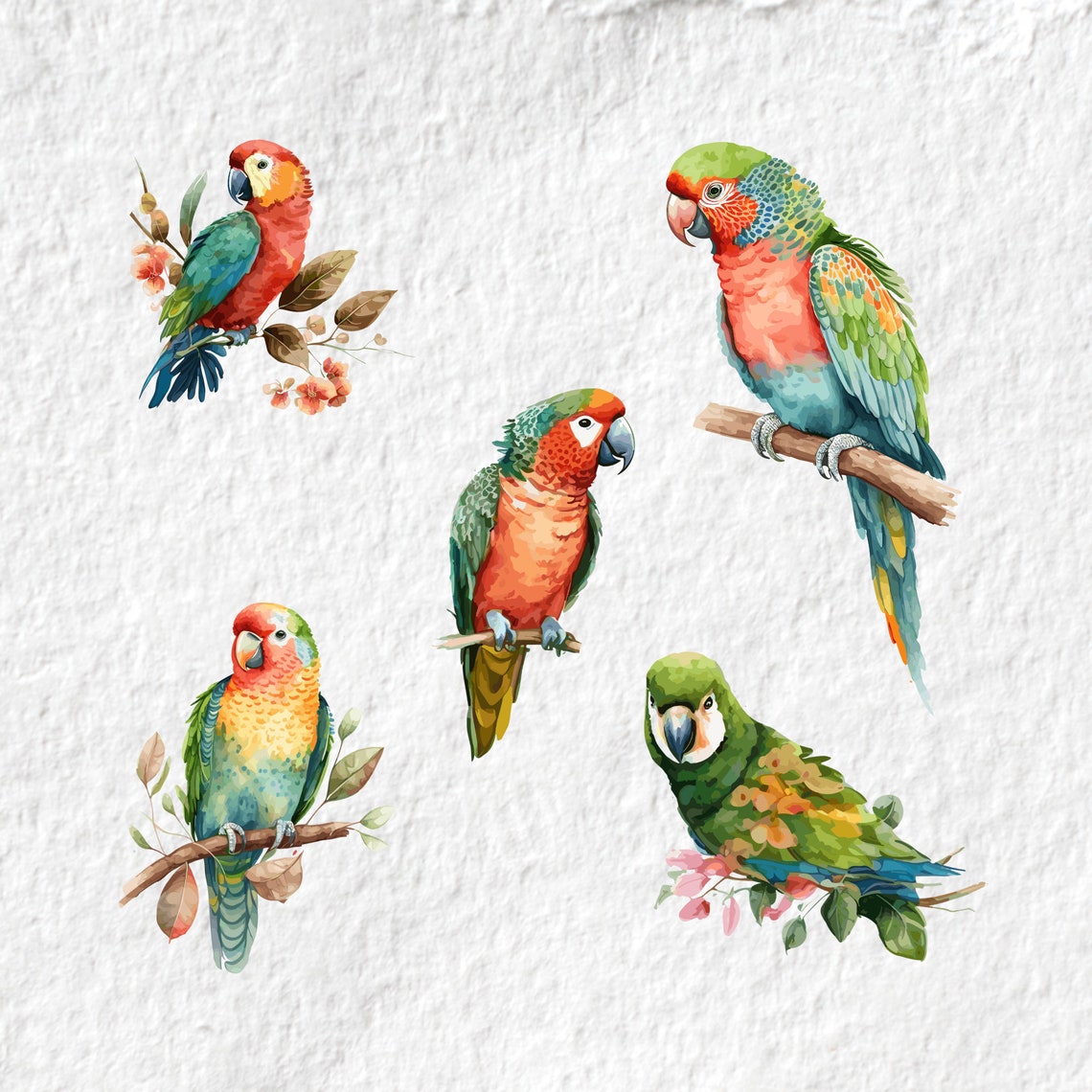 Parrots Watercolor Clipart Tropical Parrots Bird Watercolor - Etsy