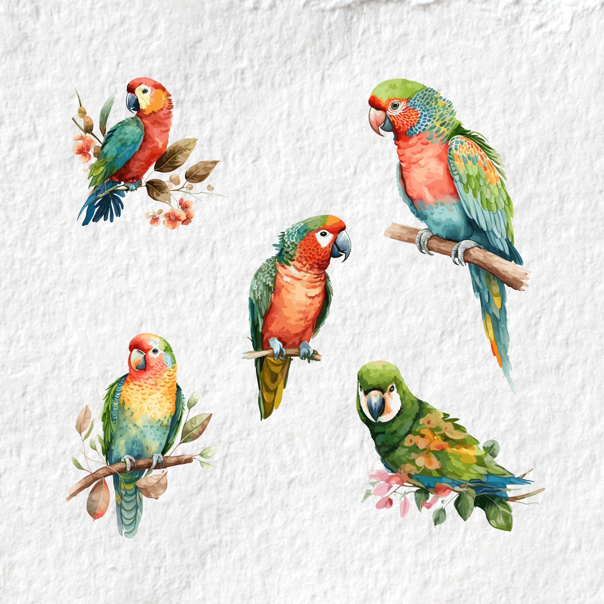 Parrots Watercolor Clipart Tropical Parrots Bird Watercolor - Etsy