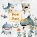 Baby Shark Clipart, Cute Baby Shark Watercolor Clipart ,ocean ...