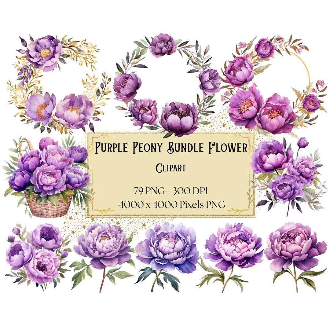 Purple Peony Flower Clipart, Purple Peony Floral Bundle Png, Spring ...