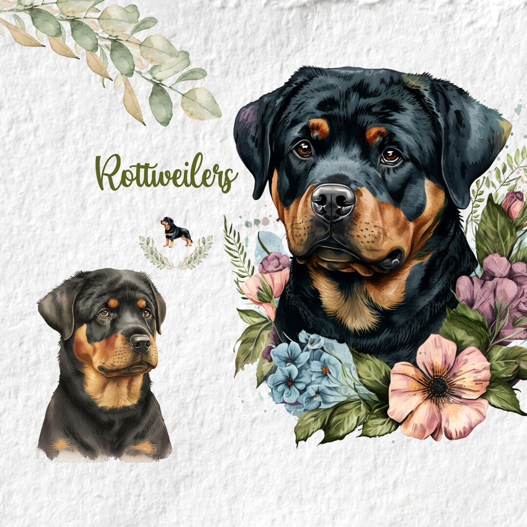 Rottweiler Watercolor Clipart Rottweiler Baby Shower - Etsy